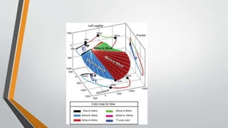 Vector cardiography | PPTX