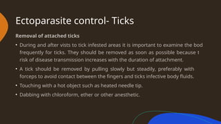 vector control and ectoparasites in Public health.pptx