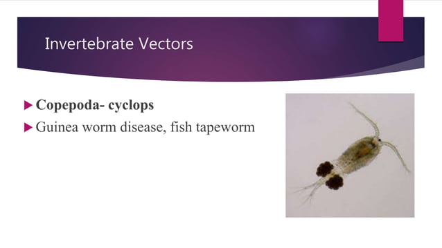 Vector control measures | PPTX