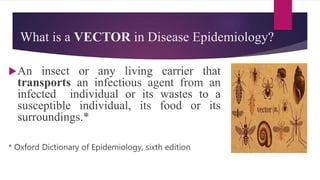 Vector control measures | PPTX