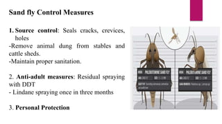 Vector control measures | PPTX