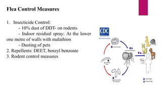 Vector control measures | PPTX