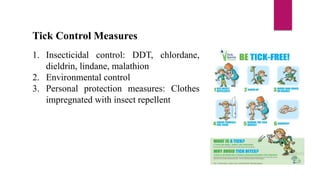 Vector control measures | PPTX