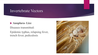 Vector control measures | PPTX