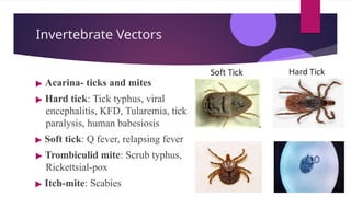 ARTHOPODS AND vector control measures.pptx