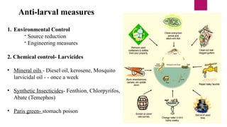 ARTHOPODS AND vector control measures.pptx