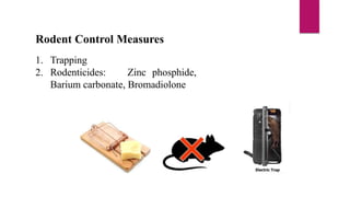 ARTHOPODS AND vector control measures.pptx