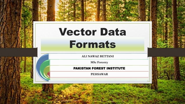 Vector data formats | PPT