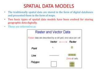 Vector data model | PPTX