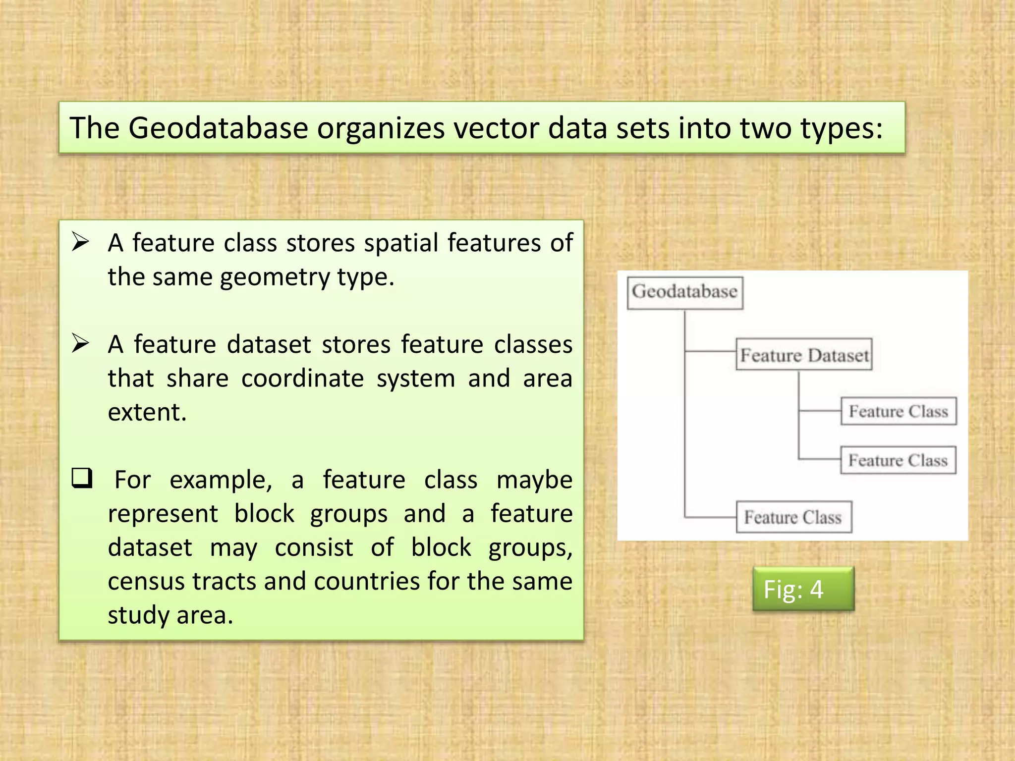Vector data model _Topology _Tin.pptx