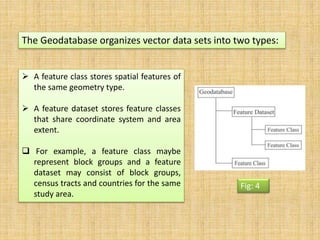 Vector data model _Topology _Tin.pptx