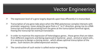 Vector Engineering.pptx