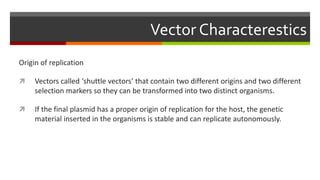 Vector Engineering.pptx