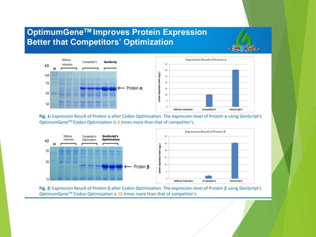 Vector Engineering And Codon Optimization Pdf Programming Languages Computing