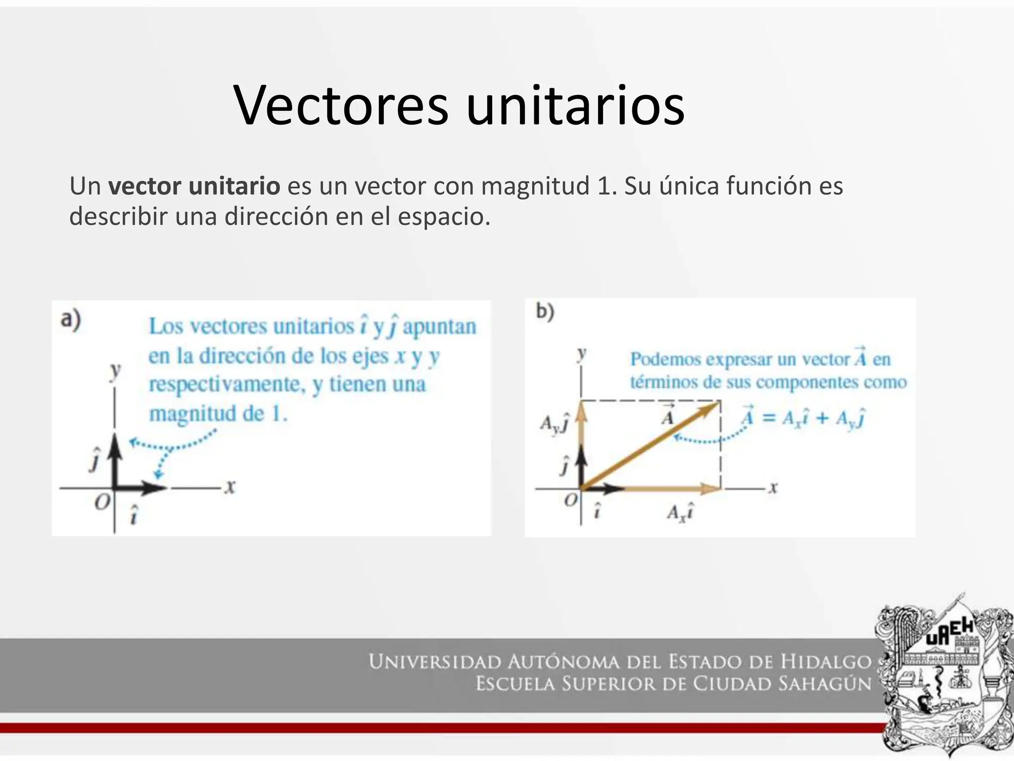 VECTORES clase teorica y practica para estudiantes | PPTX