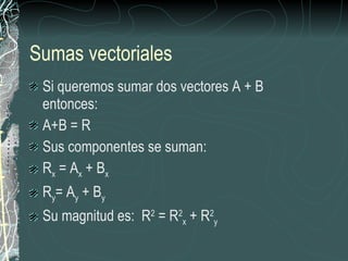 Vectores en dos dimensiones | PPS