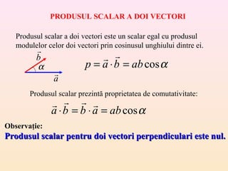 Vectori | PPT