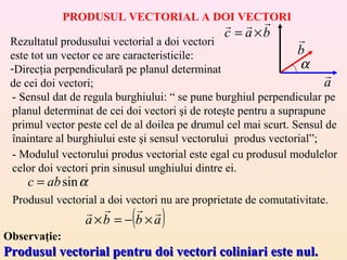Vectori | PPT