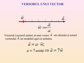 Vectori | PPT