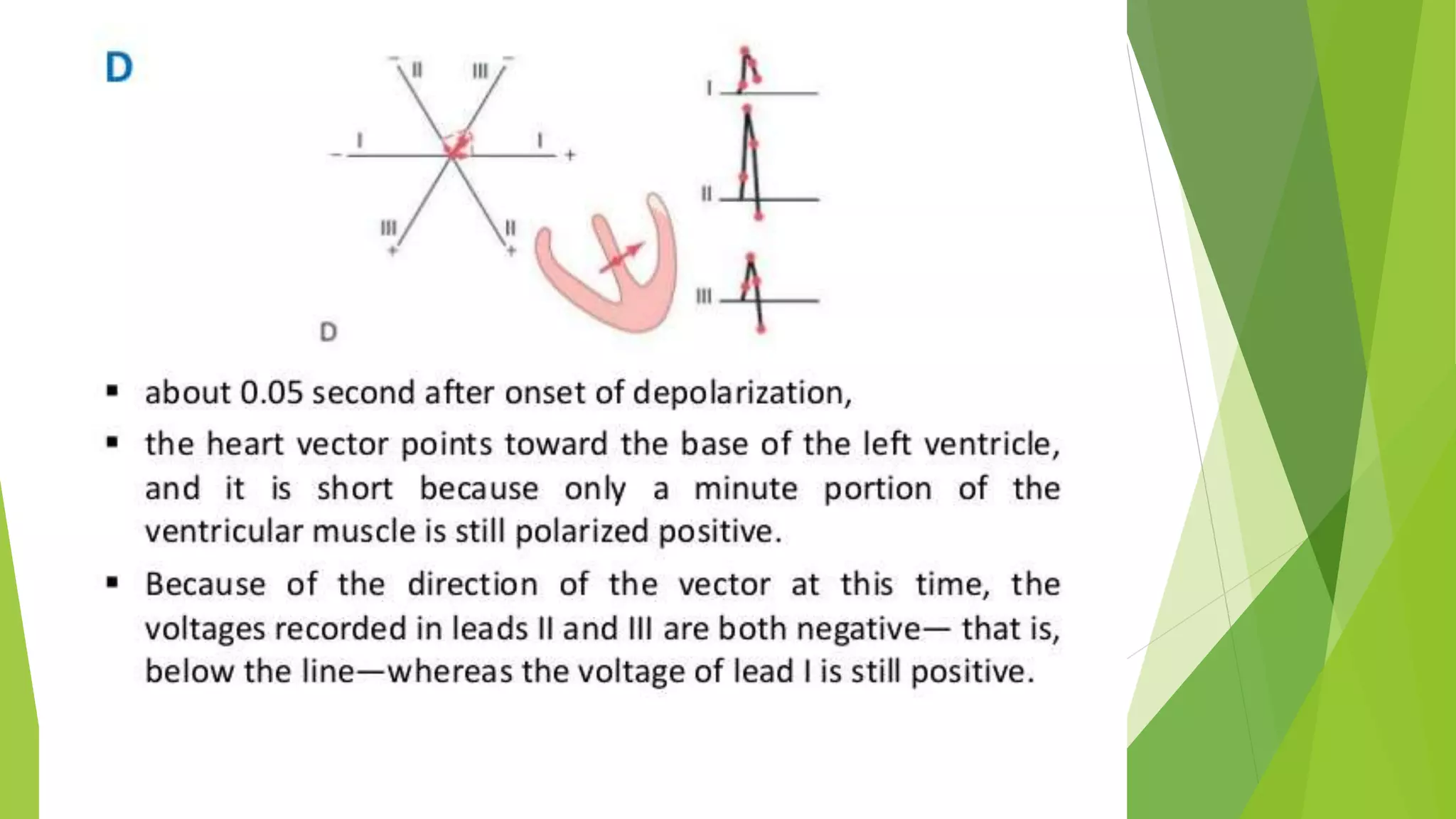 Vectorial analysis of Electrocardiogram | PPTX