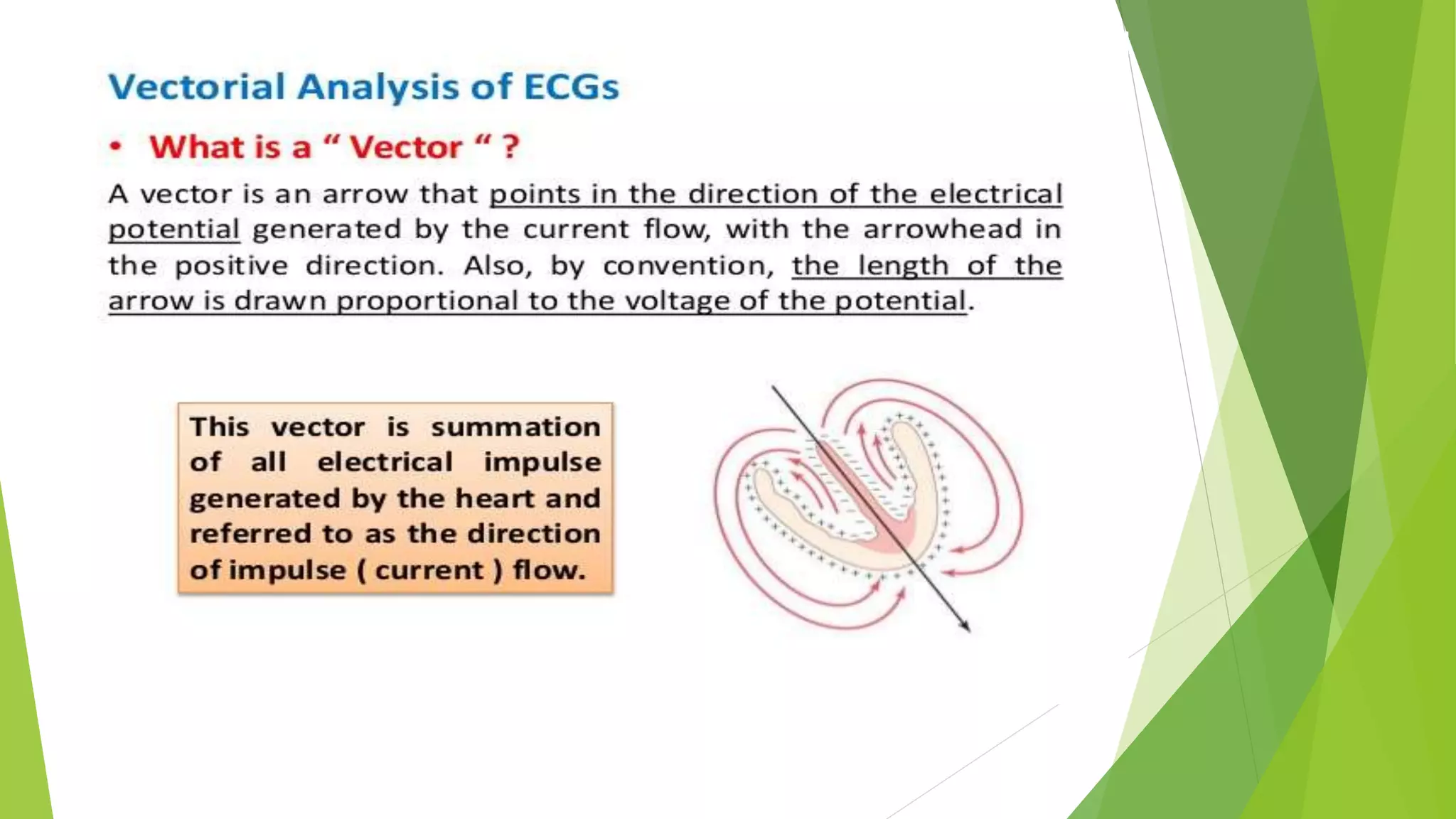 Vectorial analysis of Electrocardiogram | PPTX