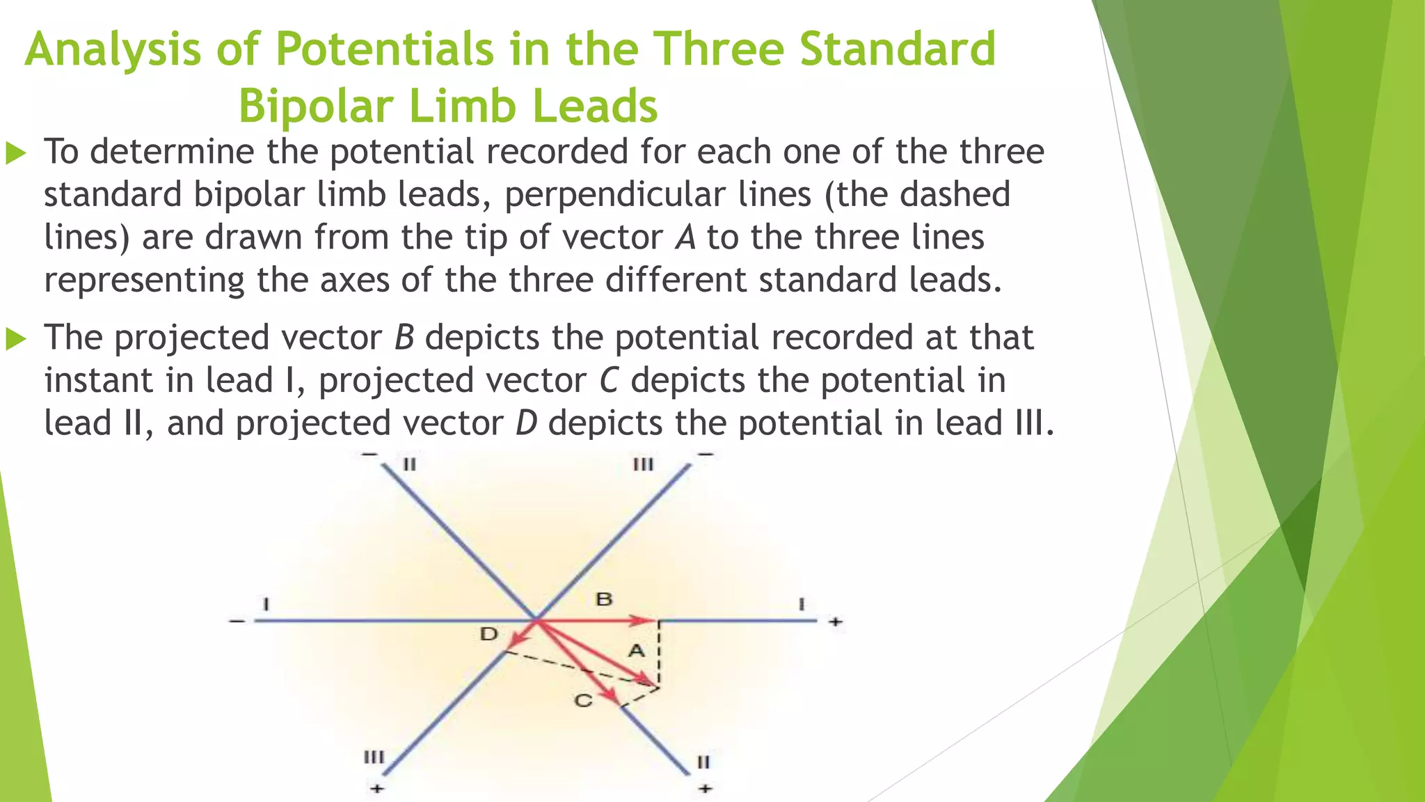 Vectorial analysis of Electrocardiogram | PPTX