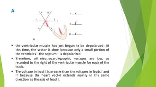 Vectorial analysis of Electrocardiogram | PPTX