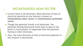 Vectorial analysis of Electrocardiogram | PPTX