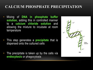 Vector less gene transfer | PPTX