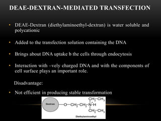 Vector less gene transfer | PPTX