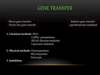 Vector less gene transfer | PPTX