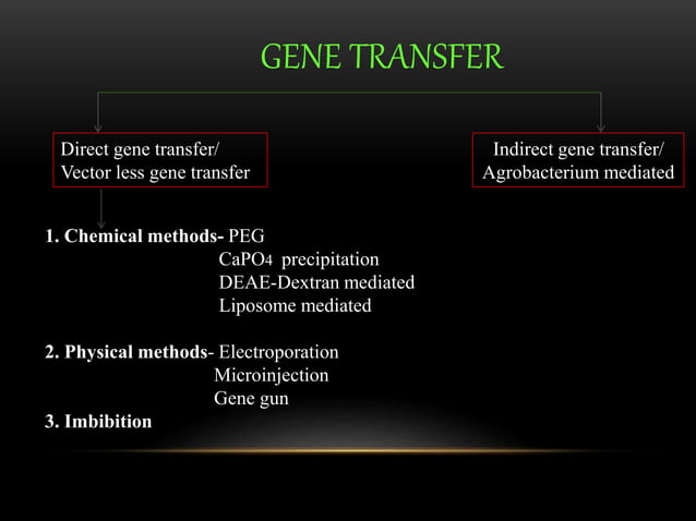 Vector less gene transfer | PPTX | Biological Sciences | Science
