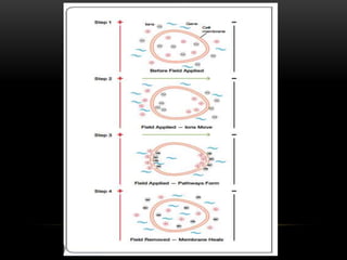 Vector less gene transfer | PPTX