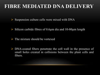 Vector less gene transfer | PPTX