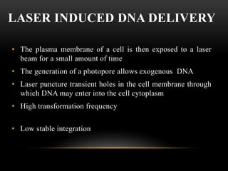 Vector less gene transfer | PPTX