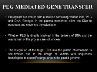 Vector less gene transfer | PPTX