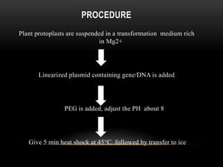 Vector less gene transfer | PPTX