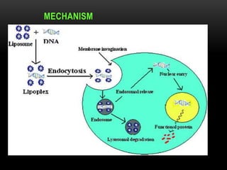 Vector less gene transfer | PPTX