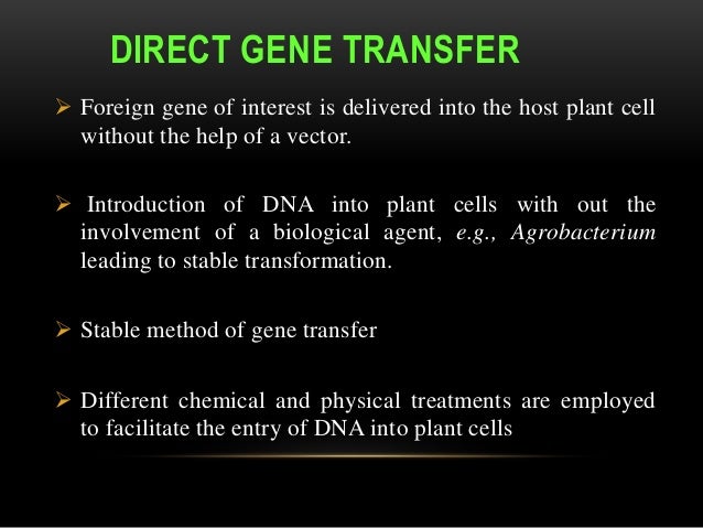 Vector less gene transfer