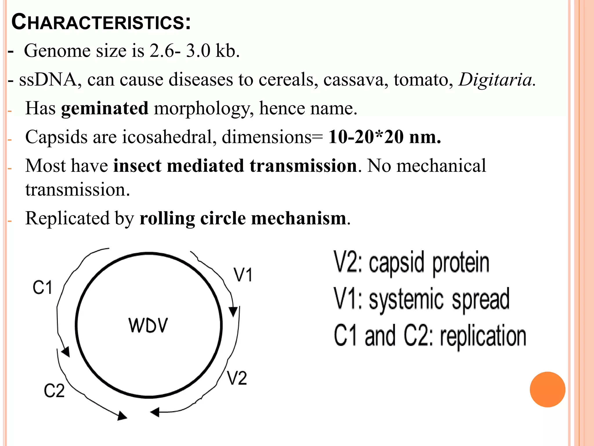 Vector mediated gene transfer methods for transgenesis in Plants. | PPTX
