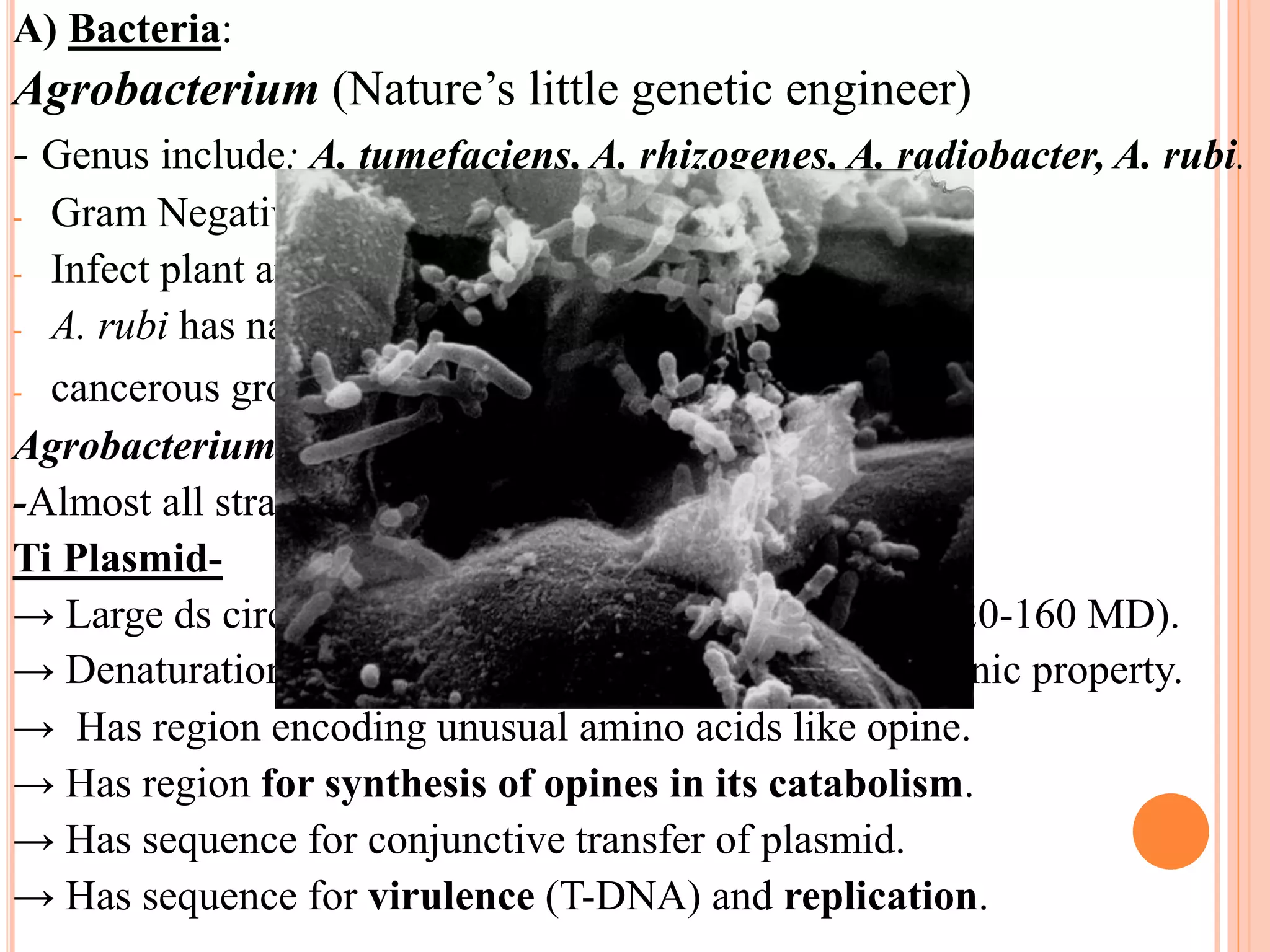 Vector mediated gene transfer methods for transgenesis in Plants. | PPTX