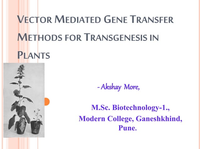 Vector mediated gene transfer methods for transgenesis in Plants ...