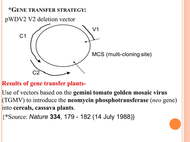 Vector mediated gene transfer methods for transgenesis in Plants ...
