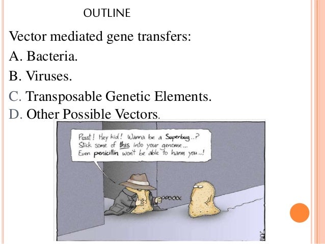 Vector mediated gene transfer methods for transgenesis in Plants.