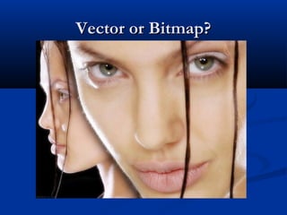Vector or bitmap | PPT