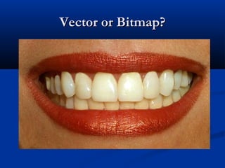Vector or bitmap | PPT