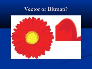 Vector or bitmap | PPT