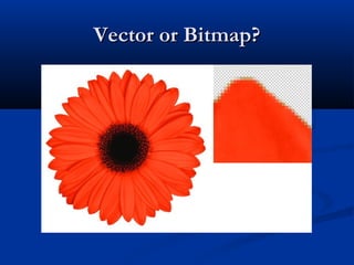 Vector or bitmap | PPT