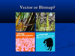 Vector or bitmap | PPT