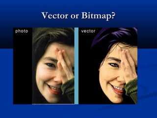 Vector or bitmap | PPT
